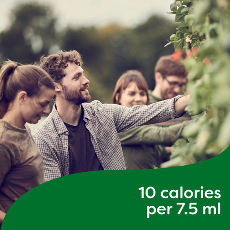 Knorr Concentrated Liquid Bouillon Chicken 250 ml - Voilà Online ...