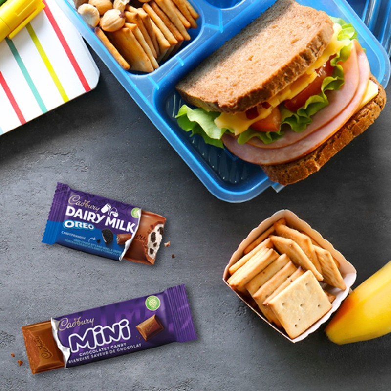 Cadbury Assorted Chocolatey Candy Mini Bars 45 Mini Bars 593 g - Voilà ...
