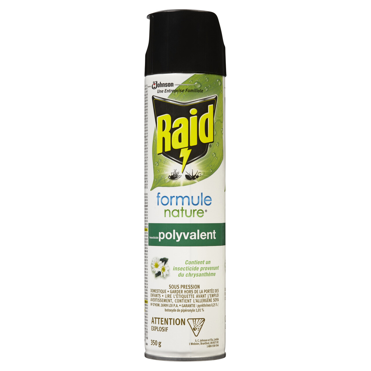 Raid Earth Blends Insect Killer Spray Multi-Bug 350 g - Voilà Online ...