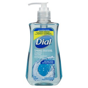 Dial Liquid Pump Hand Soap Spring Water 221 ml - Voilà Online Groceries ...