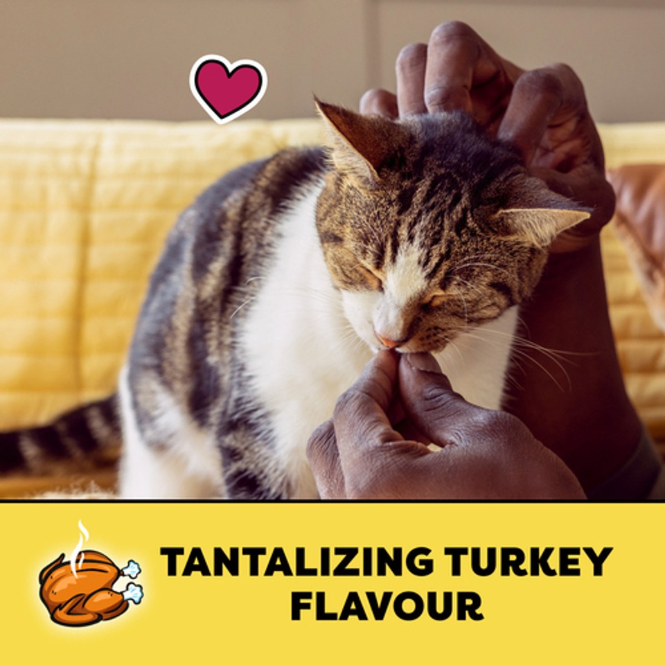 Temptations Adult Cat Treats Tantalizing Turkey Flavour 180 g - Voilà ...