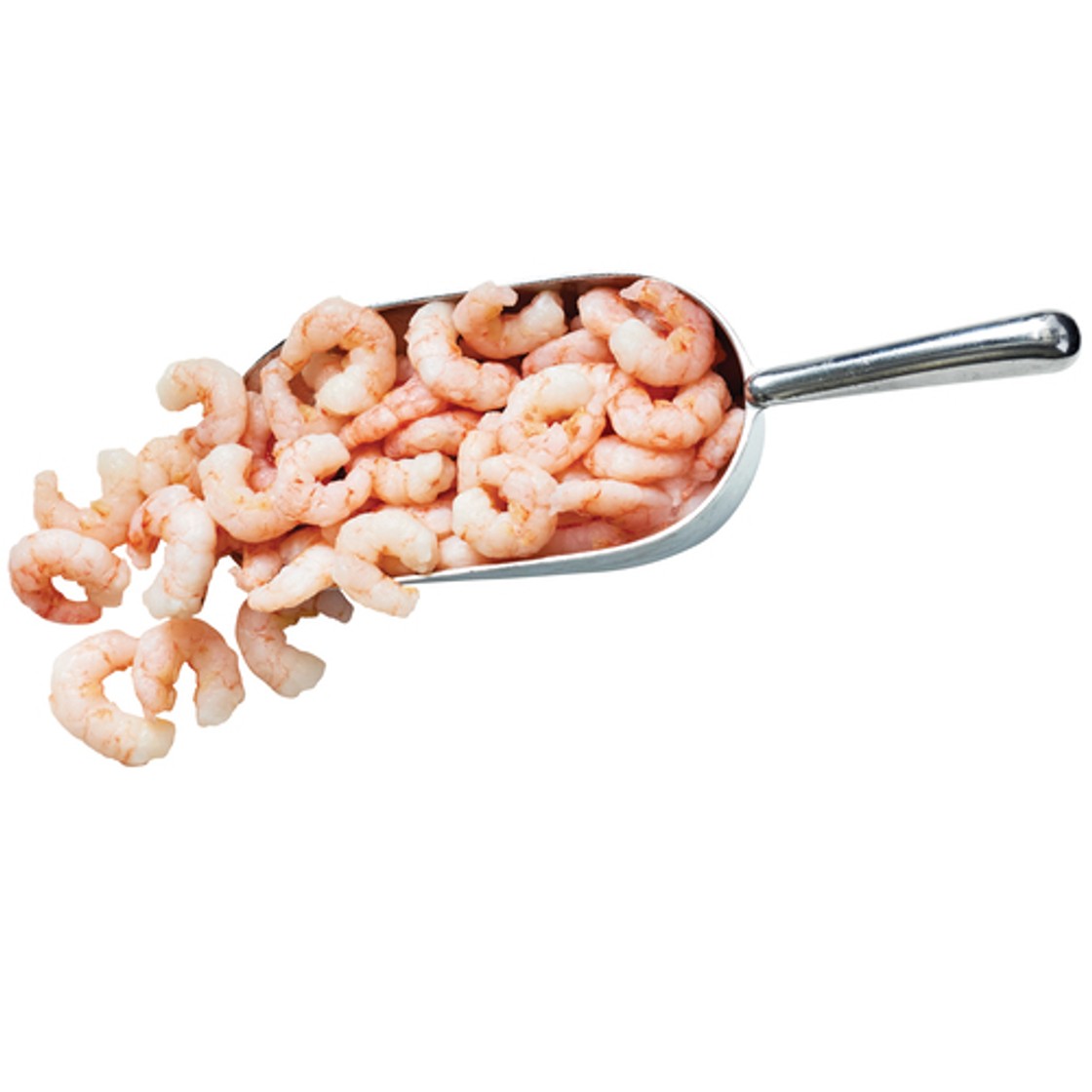 Land And Sea Frozen Cooked & Peeled Newfoundland Shrimp 340 g - Voilà ...