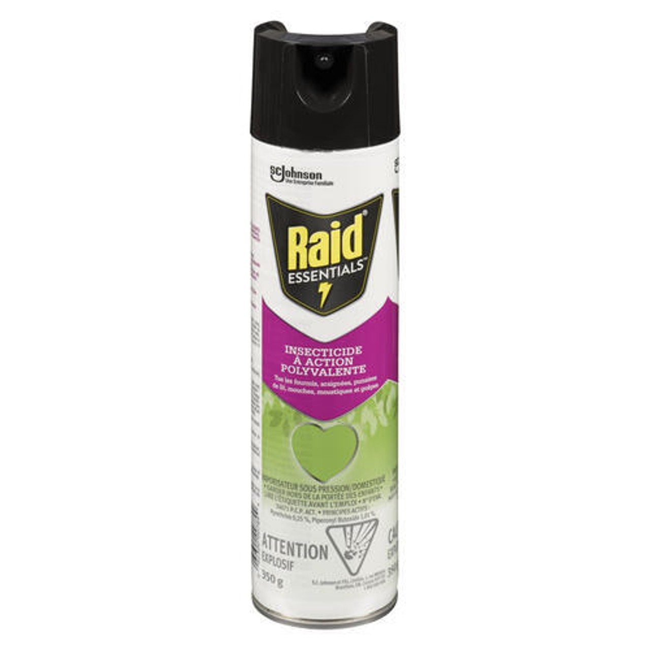 Raid Essentials Multi-Bug Insect Control 350 g - Voilà Online Groceries ...