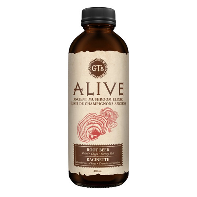 GT's Kombucha Alive Root Beer 480 ml (bottle) - Voilà Online Groceries ...