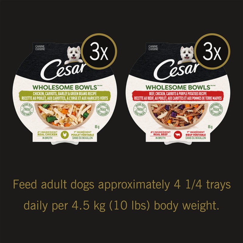 Cesar Wet Dog Food Adult Wholesome Bowls Chicken & Beef Chicken 6 x 85 ...