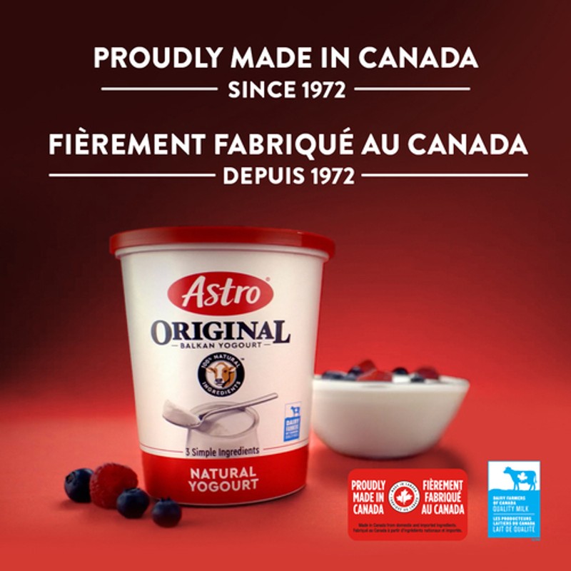 Astro Original Yogurt 4% Fruit on the Bottom Peach/Fieldberry ...
