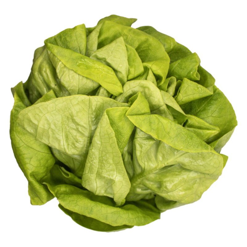 Clamshell Living Butter Lettuce 1 Count - Voilà Online Groceries & Offers