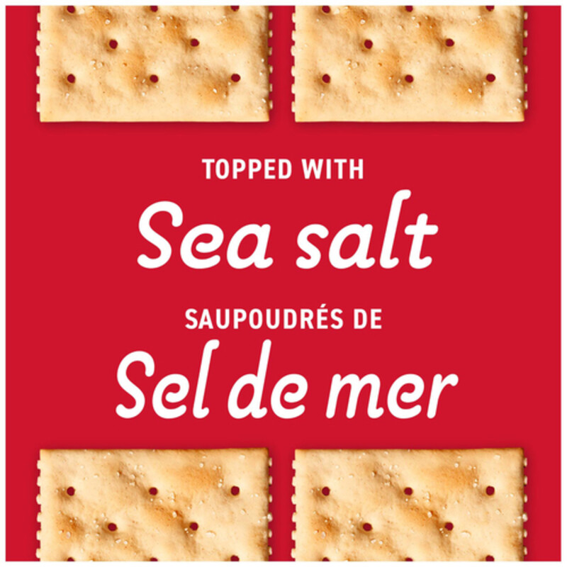 Christie Premium Plus Crackers Salted Tops 450 g - Voilà Online ...