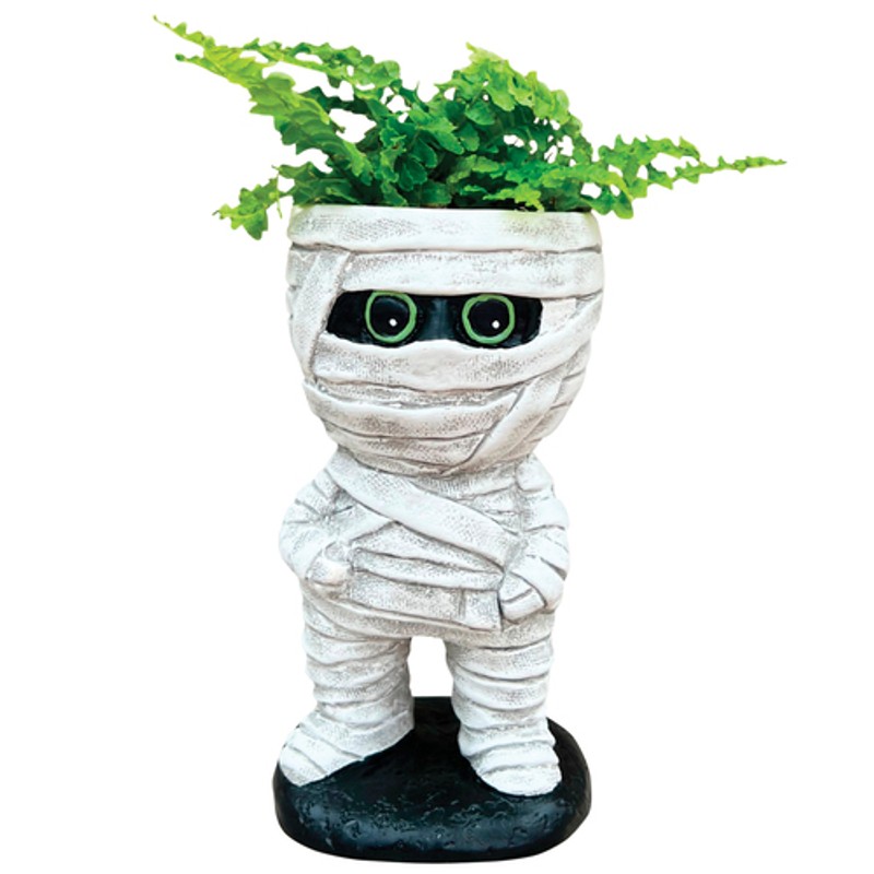 Mummy Pot Tropical Plant 1 Count - Voilà Online Groceries & Offers