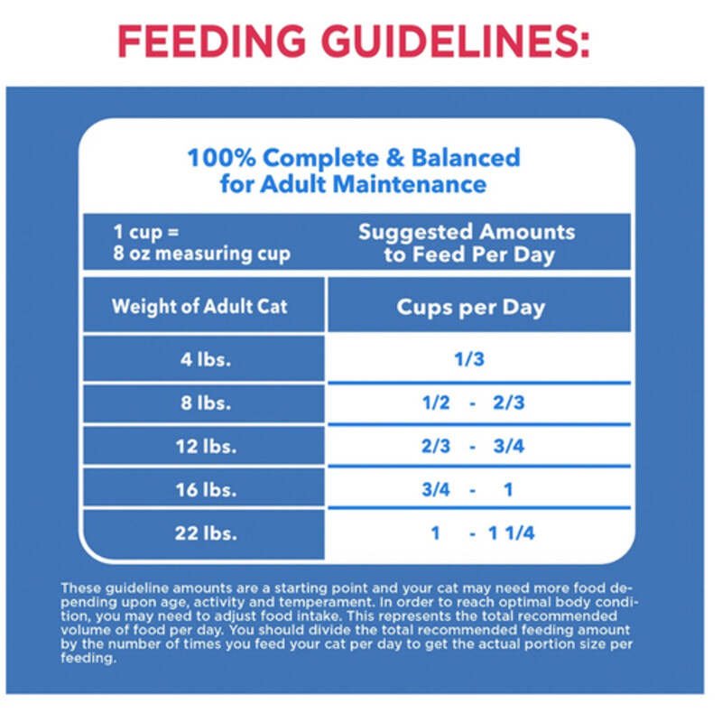 IAMS Proactive Health Healthy Enjoyment Dry Cat Food Chicken & Salmon 1 ...