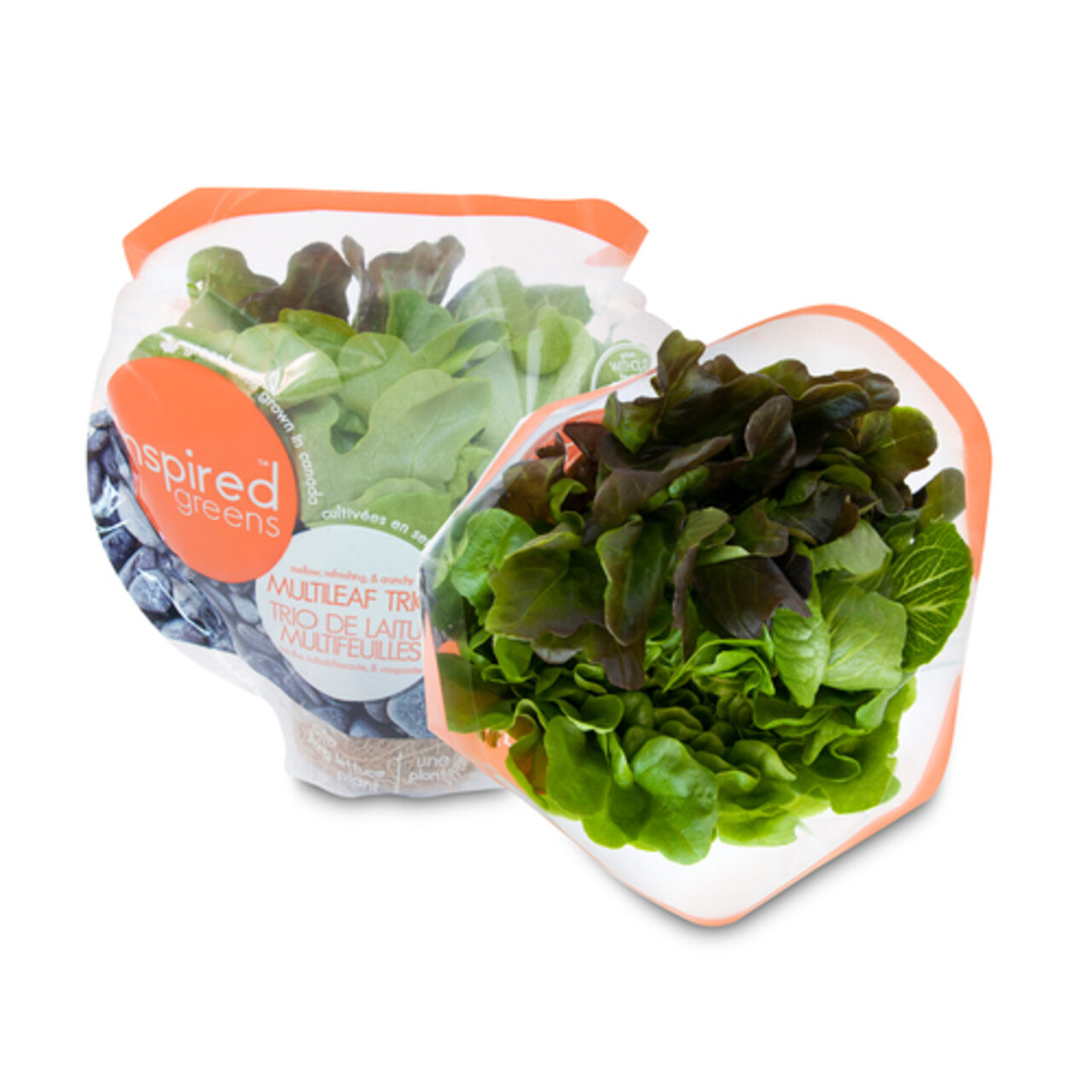 Living Multi-Leaf Trio Lettuce 1 Count - Voilà Online Groceries & Offers