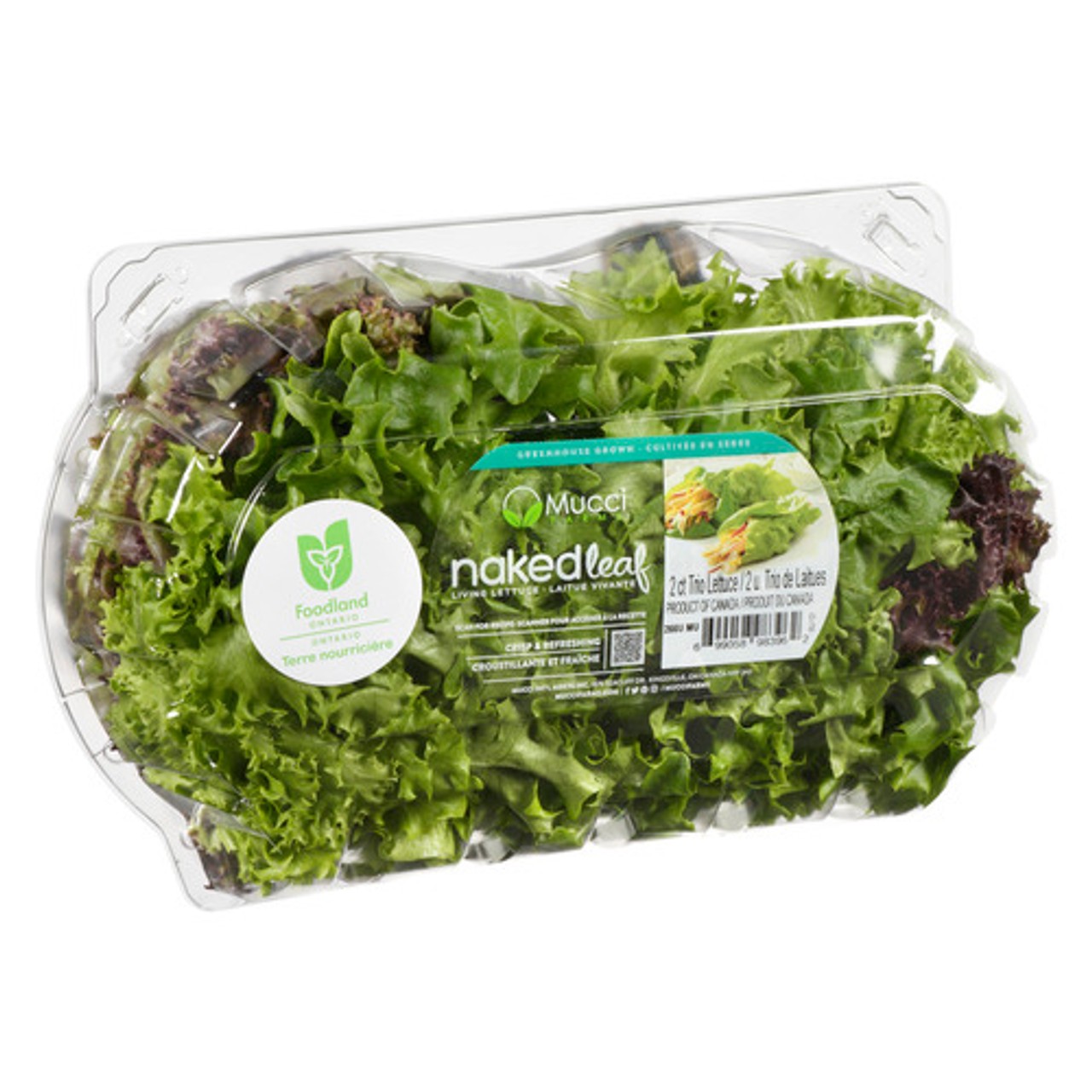 Naked Leaf Lettuce Trio Frisee 2 Pack - Voilà Online Groceries & Offers