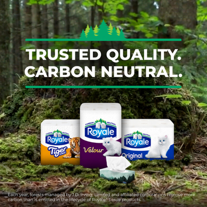 Royale Facial Tissue 3-Ply 12 Boxes x 88 Sheets - Voilà Online ...