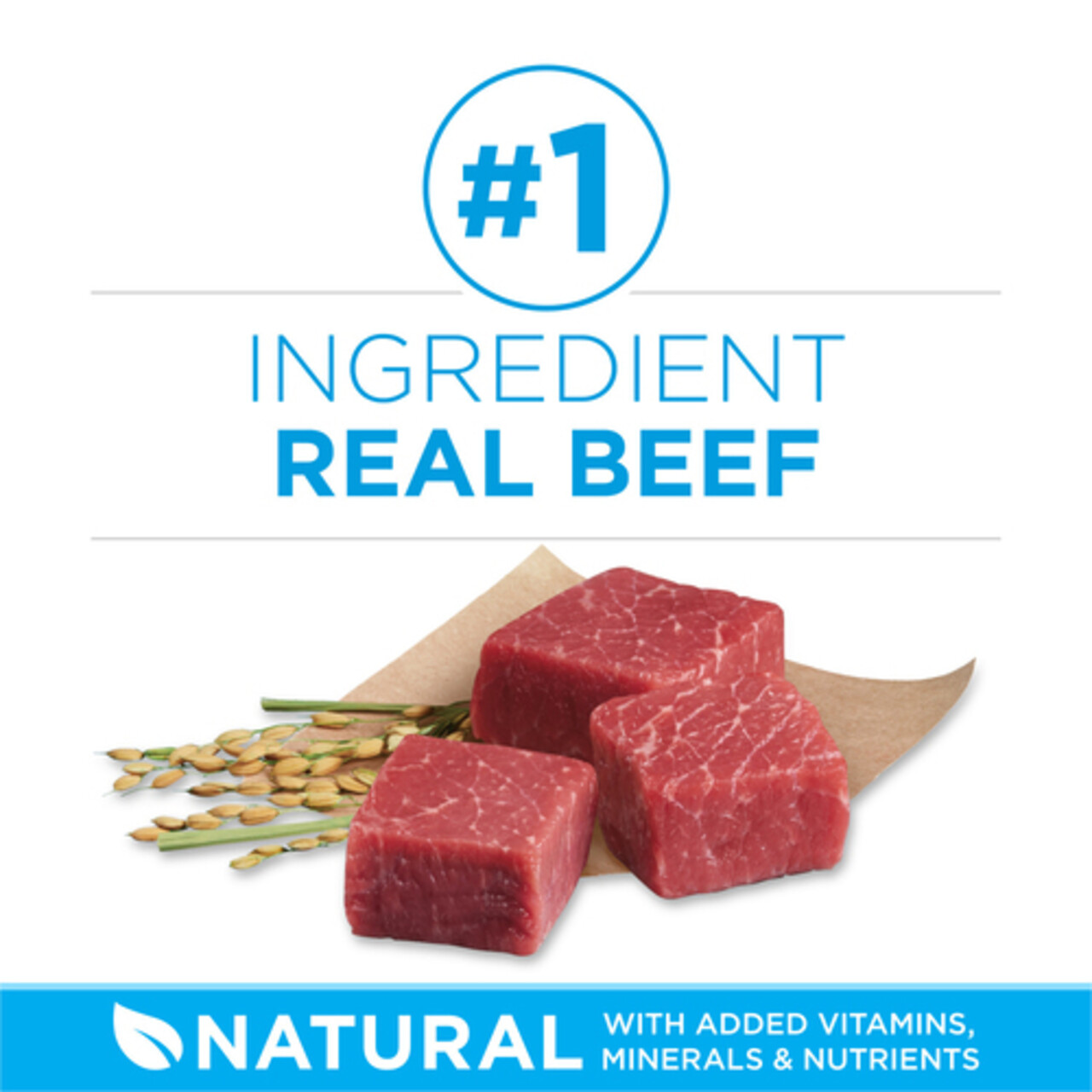 Purina ONE +Plus Dry Dog Food Small Breed Formula Beef 1.81 kg - Voilà ...