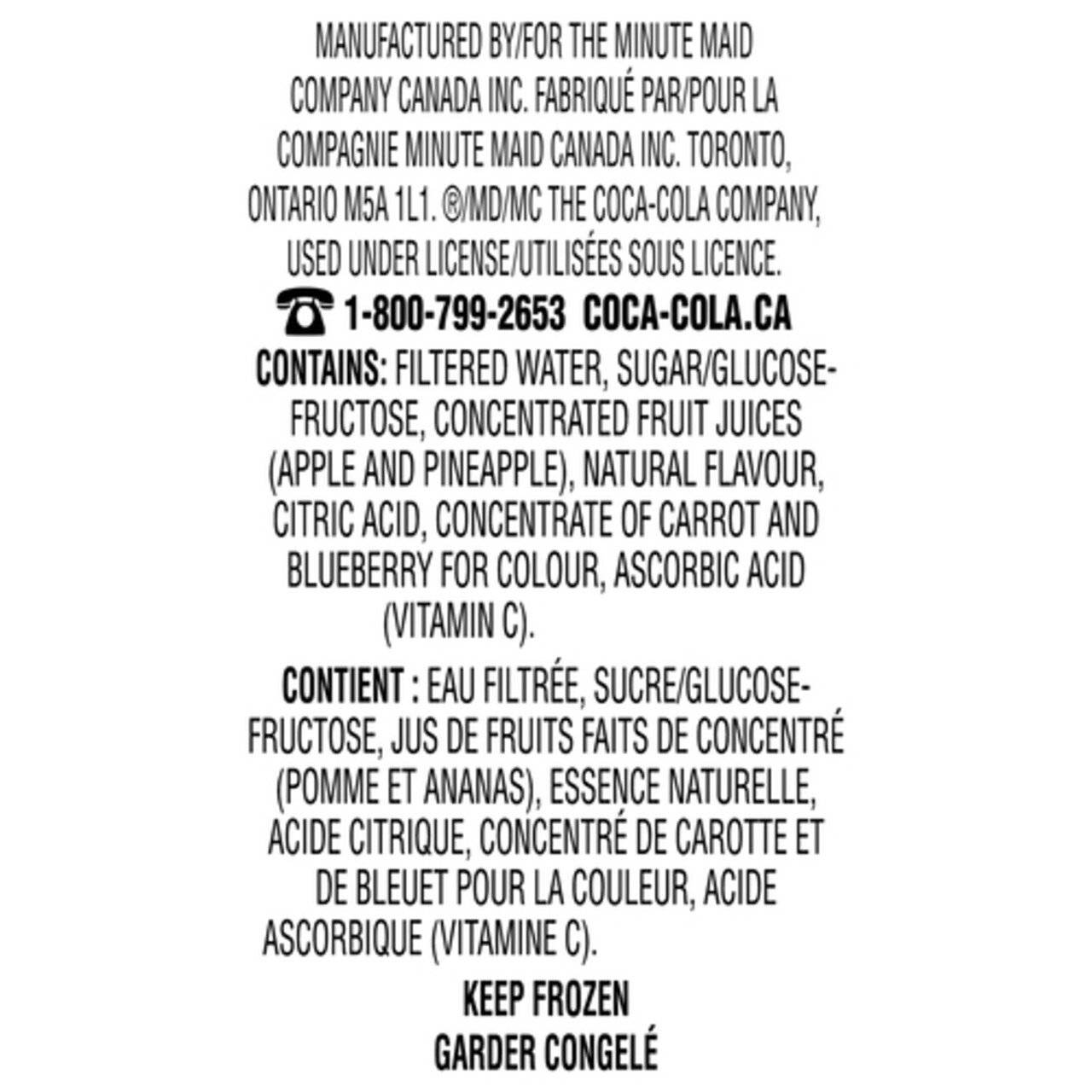 Fruitopia Frozen Fruit Integration 295 ml (can) - Voilà Online ...