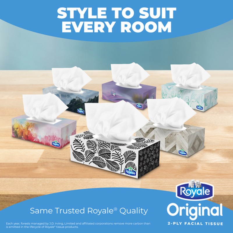 Royale Original Facial Tissue 2 Ply 6 Boxes x 100 Sheets - Voilà Online ...