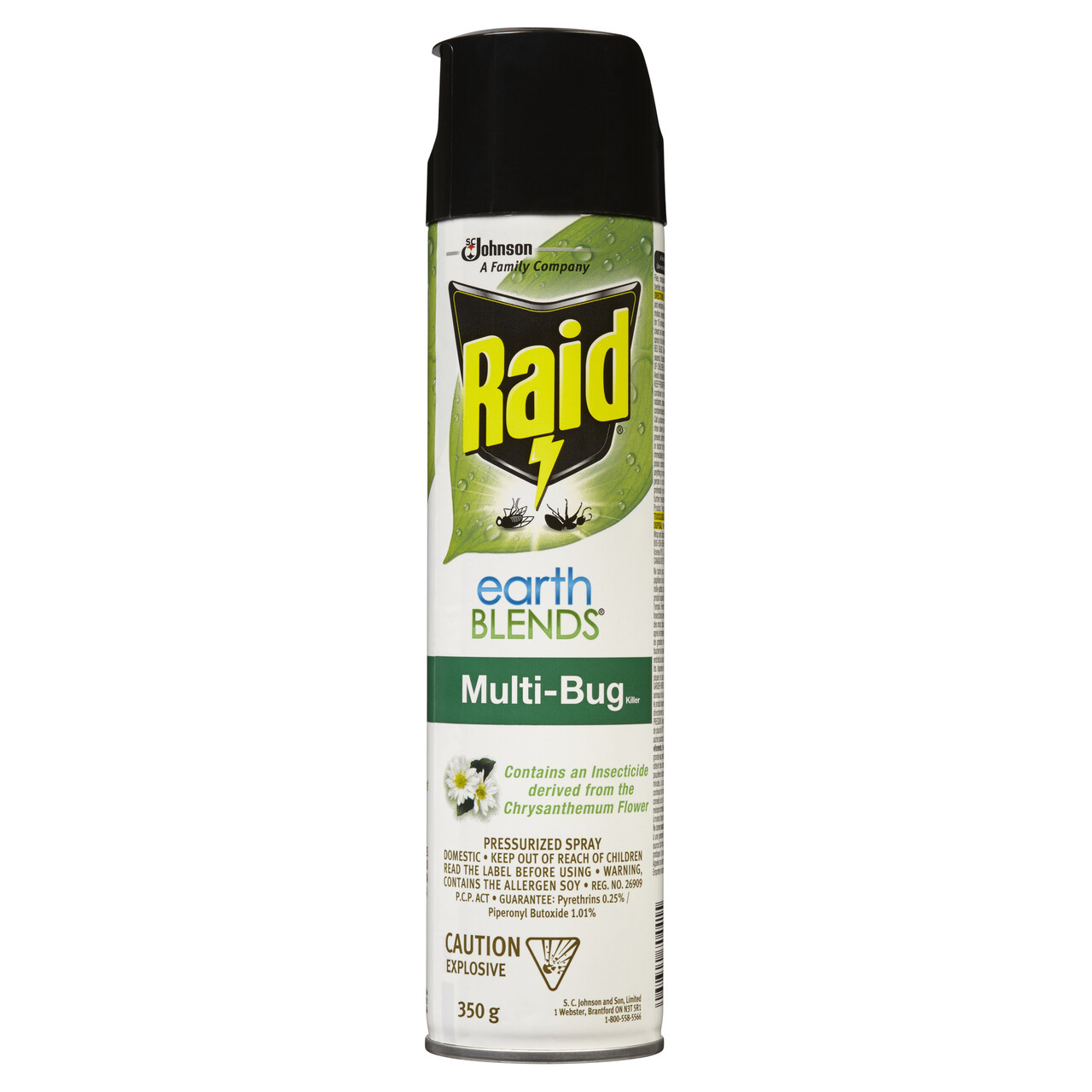 Raid Earth Blends Insect Killer Spray Multi-Bug 350 g - Voilà Online ...