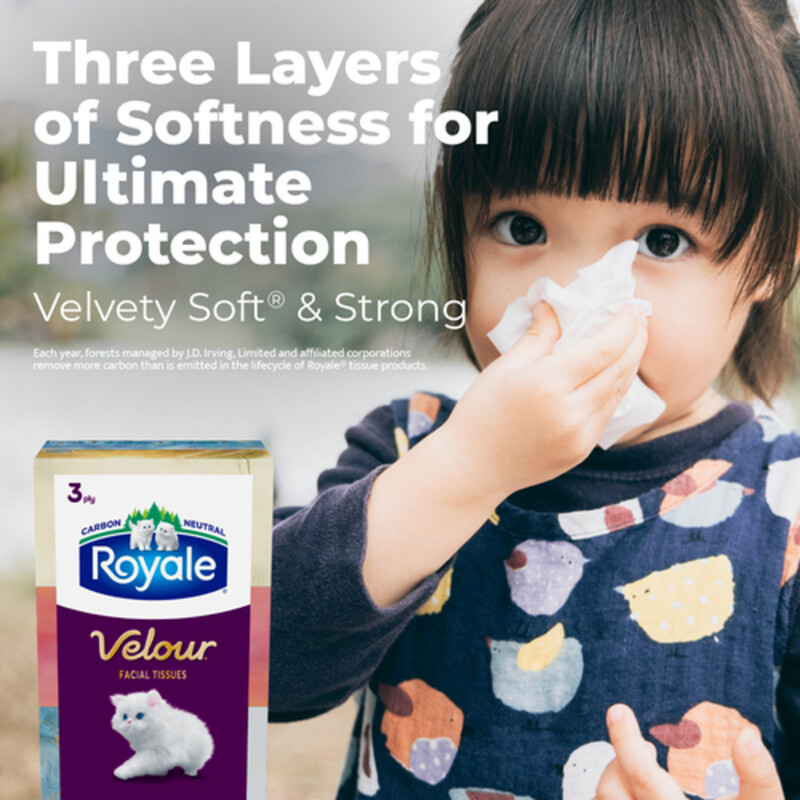 Royale Facial Tissue 3-Ply 12 Boxes x 88 Sheets - Voilà Online ...