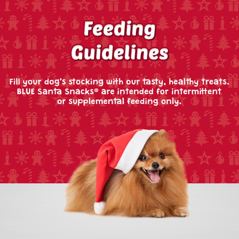 Blue Buffalo Santa Snack Crunchy Dog Treats Oatmeal & Cinnamon 311 g ...