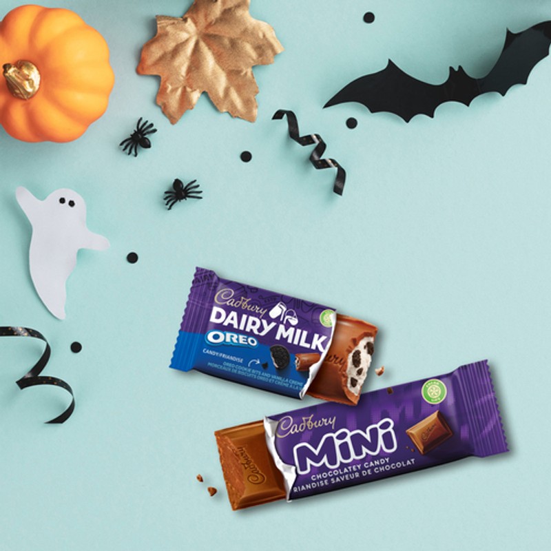 Cadbury Assorted Chocolatey Candy Mini Bars 45 Mini Bars 593 g - Voilà ...