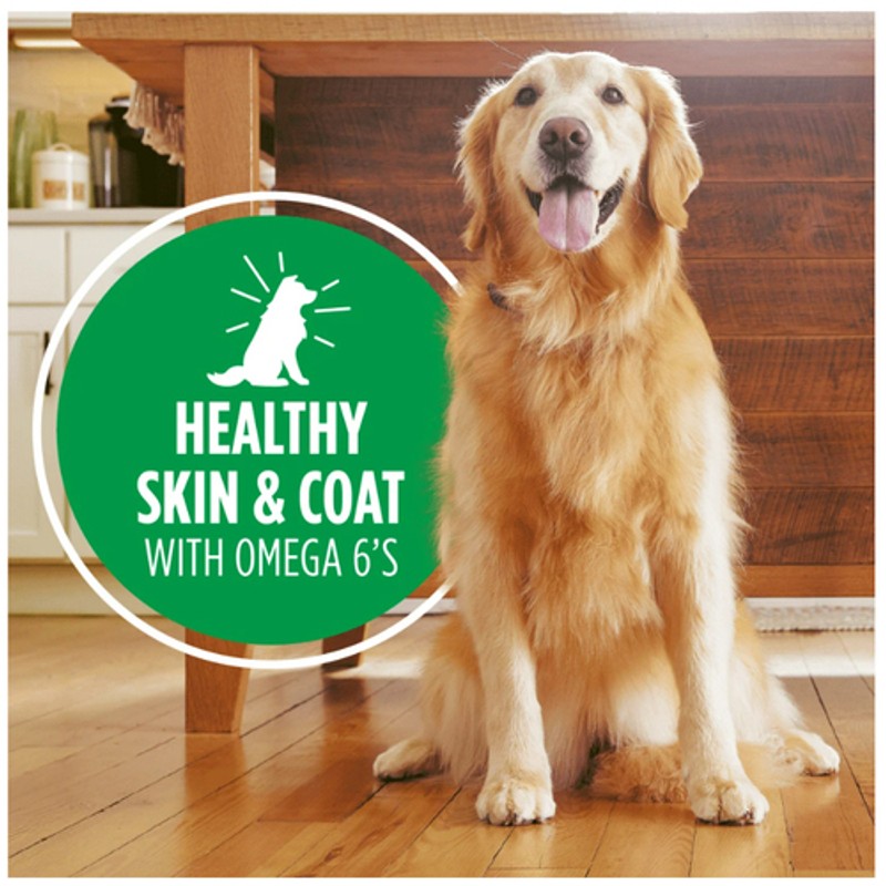 IAMS Pro Active Health Wet Dog Food Ground Beef & Rice 369 g - Voilà ...