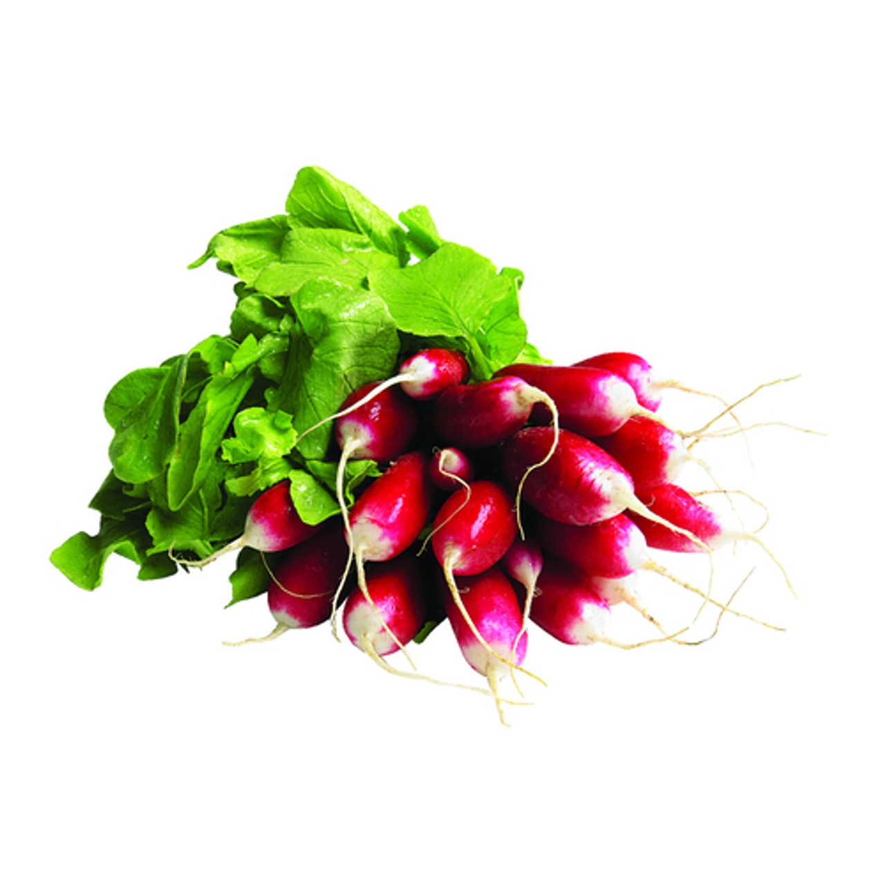 LeClair Family French Breakfast Radishes 1 Bunch - Voilà Online ...
