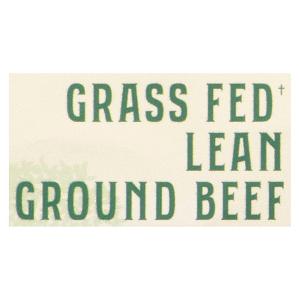 Springvale Grass Fed Ground Beef Lean 454 g - Voilà Online Groceries ...