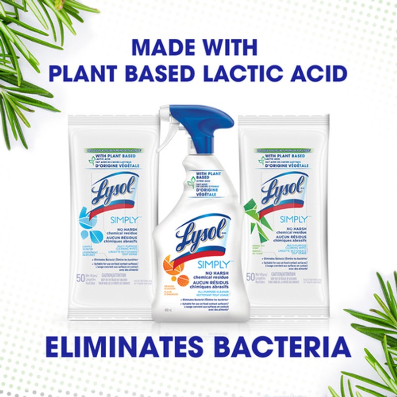 Lysol Disinfectant Wipes Herbal Tea Scent 50 Sheets - Voilà Online ...