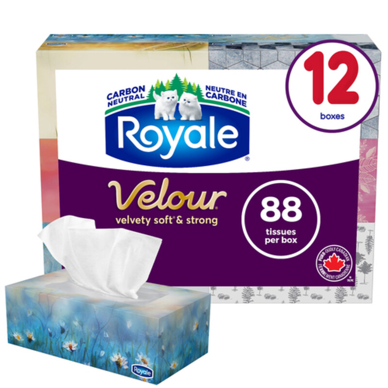 Royale Facial Tissue 3-Ply 12 Boxes x 88 Sheets - Voilà Online ...