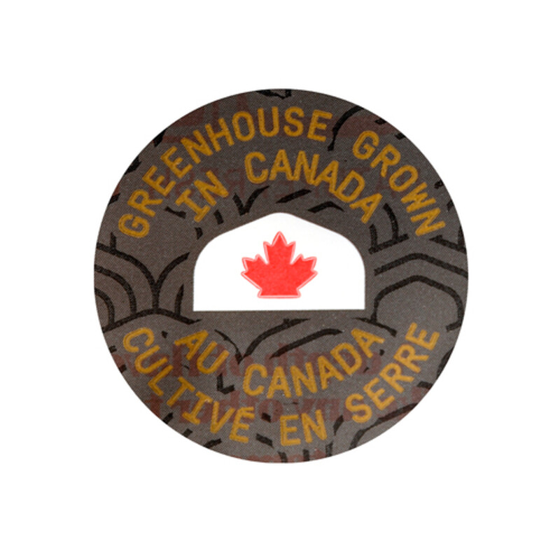 HH Hiiro Tomatoes Cherry Pint 255 g - Voilà Online Groceries & Offers