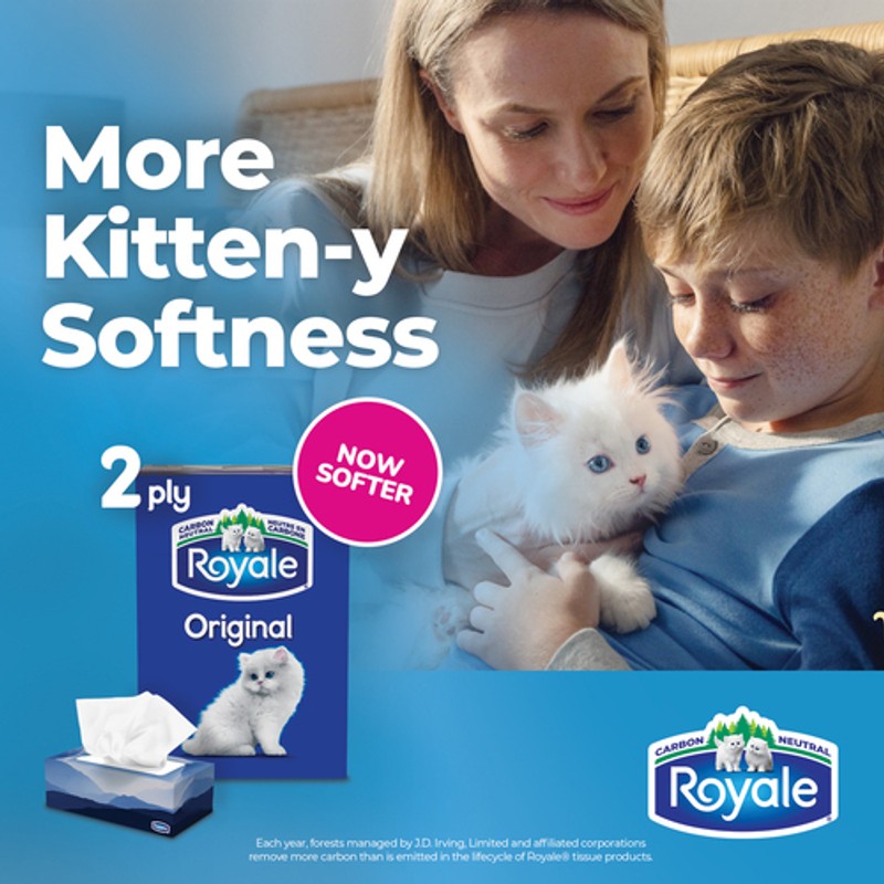 Royale Original Facial Tissue 1 Flat Box x 126 Sheets - Voilà Online ...
