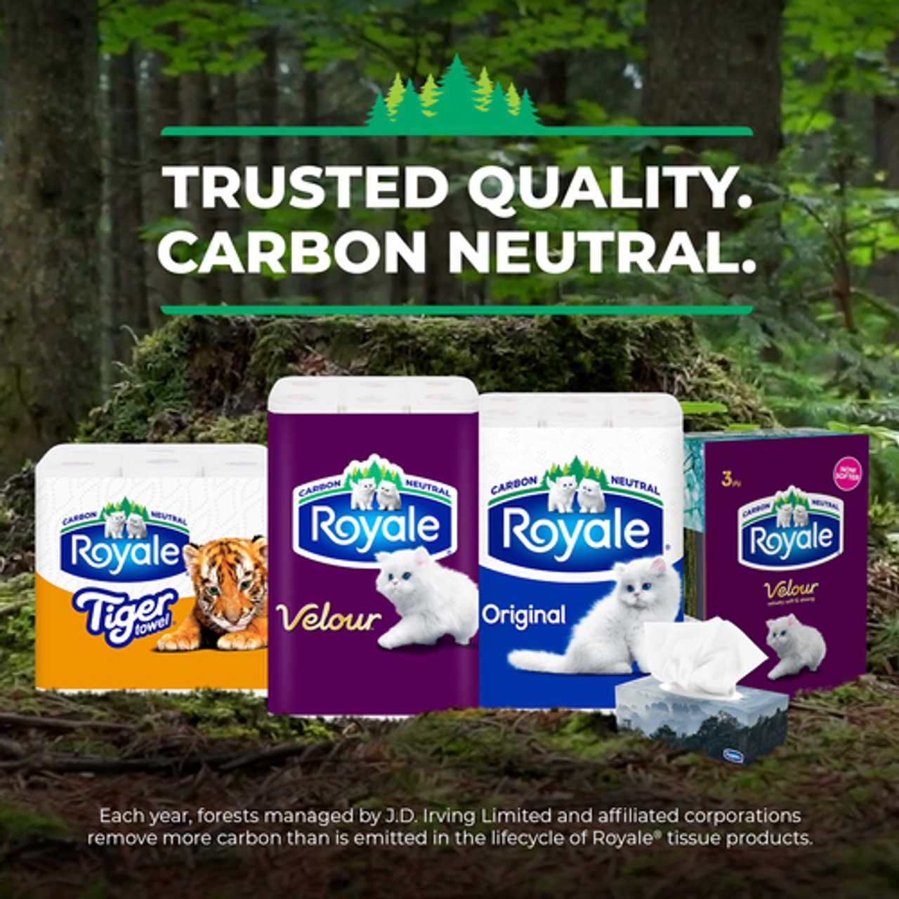 Royale Velour Facial Tissue 1 Flat Box x 72 Sheets - Voilà Online Groceries & Offers