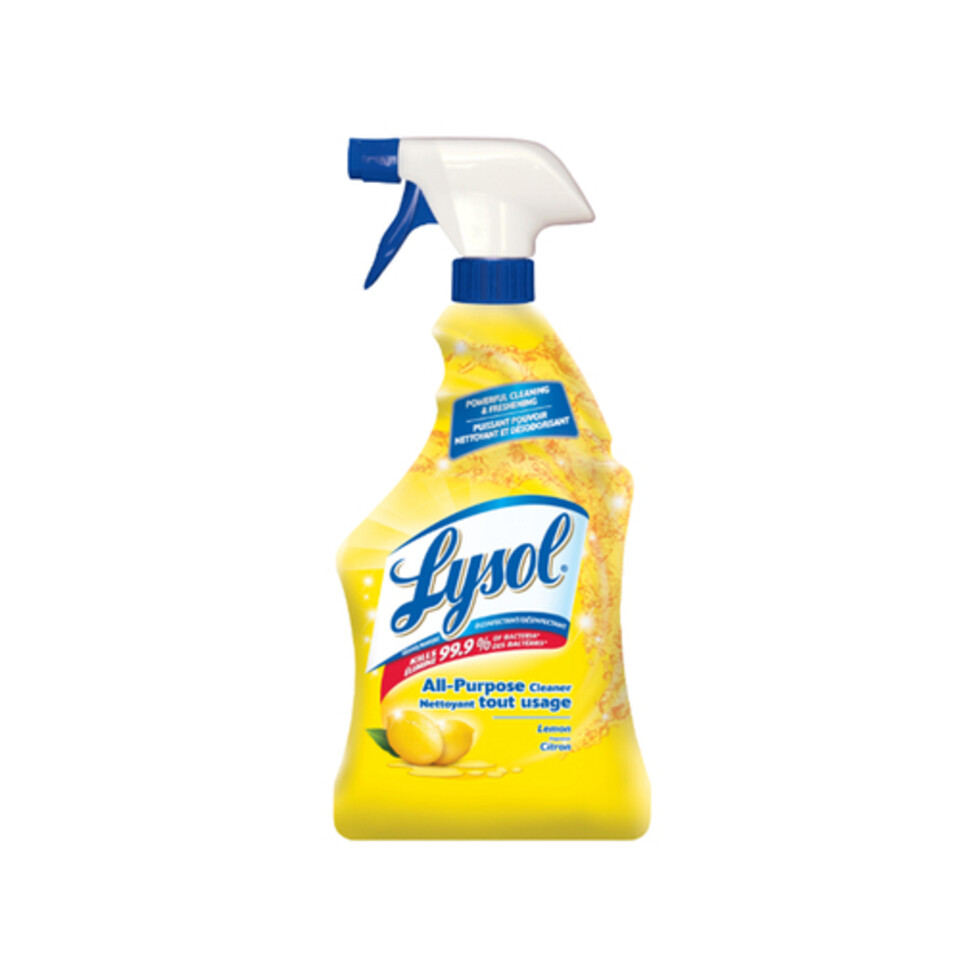 Lysol All Purpose Cleaner With Trigger 650 ml - Voilà Online Groceries ...