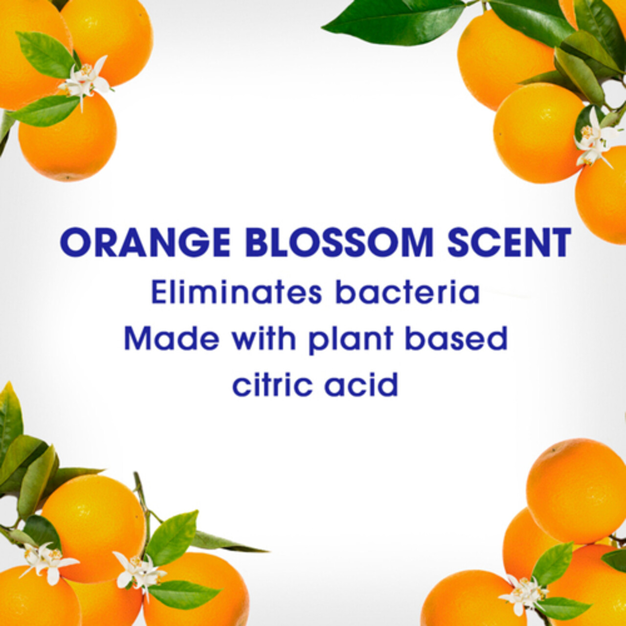 Lysol Simply Plant Based All-Purpose Cleaner 650 ml - Voilà Online ...